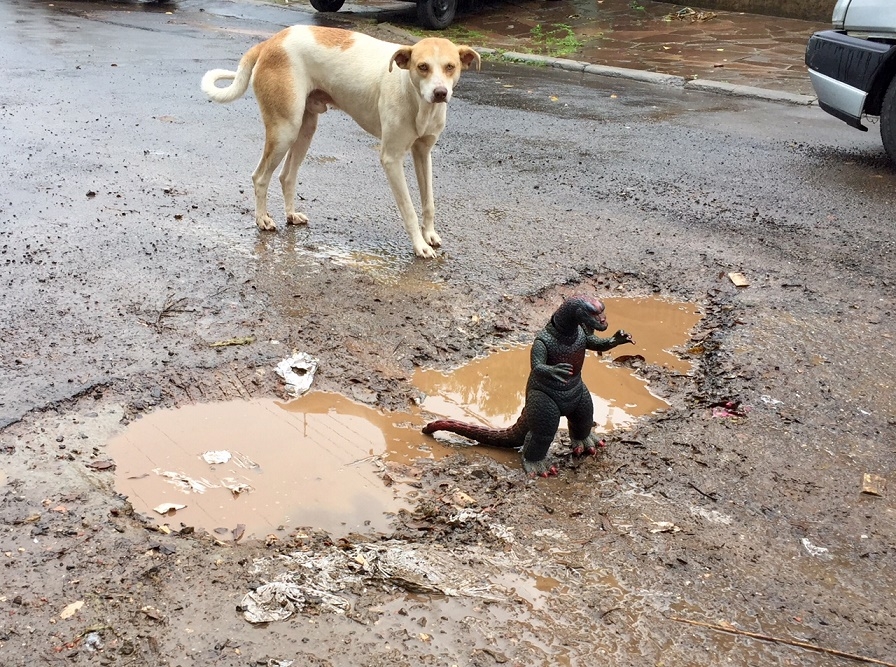 Ao visitar o paraíso de buracos da Fernando de Noronha hamburguense ...